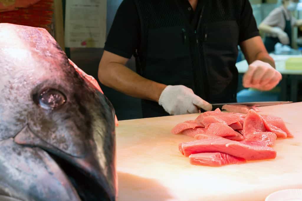 The 8 Most Important Types of Tuna to Know: Location, Taste, and Cost ...