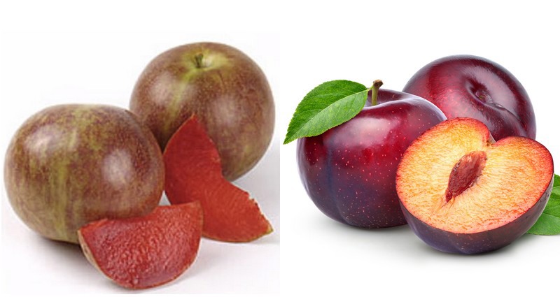 Expansion of premium stone fruit line up from the southern hemisphere ...