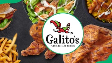 Galito’s menu and prices in South Africa (updated for 2023) – Tender ...